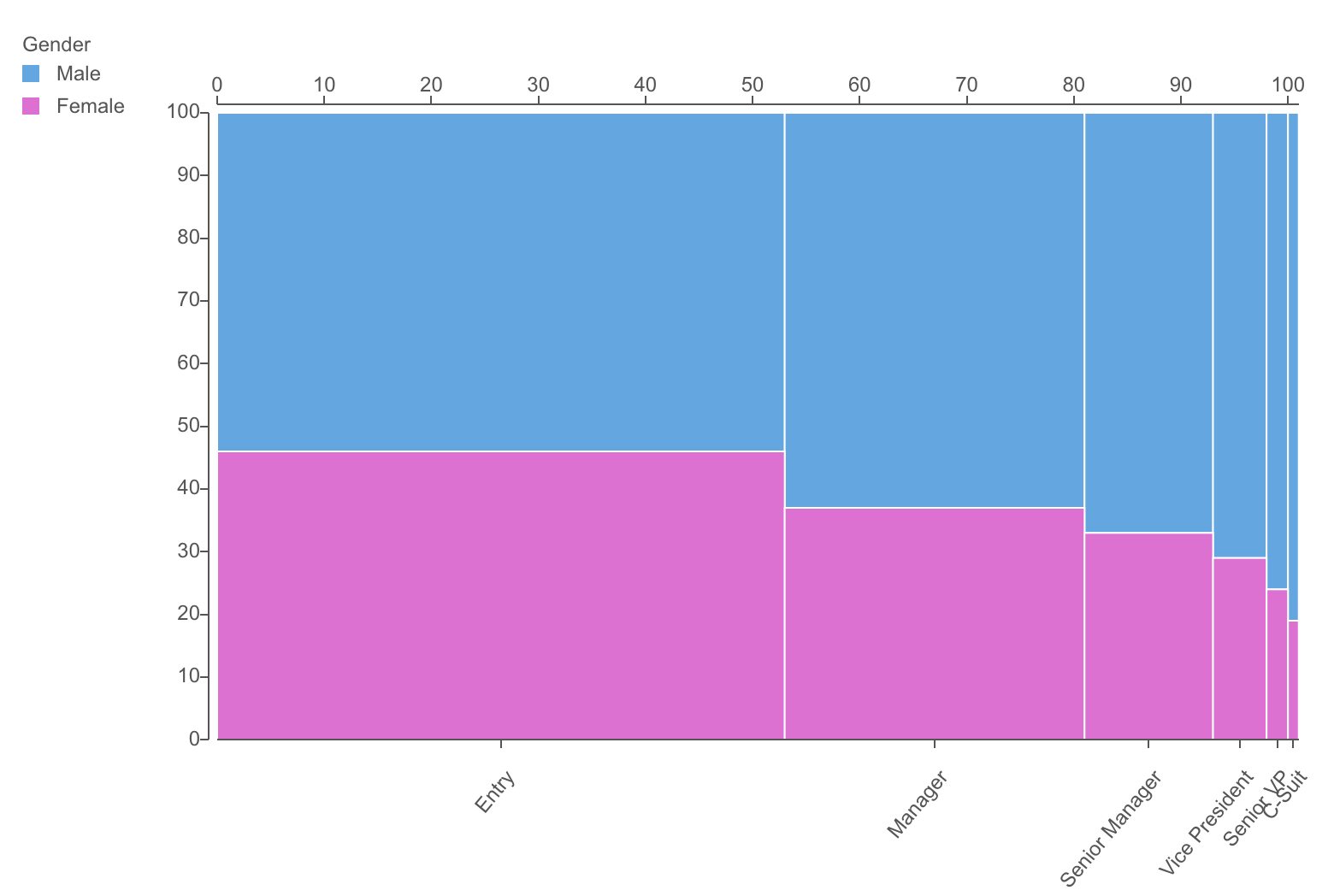 Share of Women Across Job Levels - Data Illustrateur