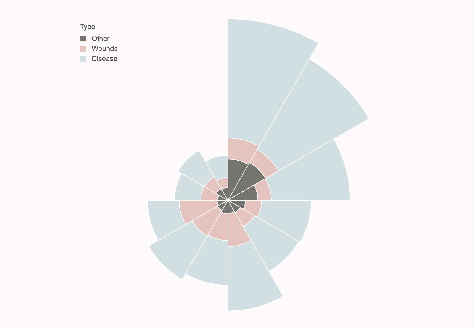 Nightingale's Rose Chart - Data Illustrateur